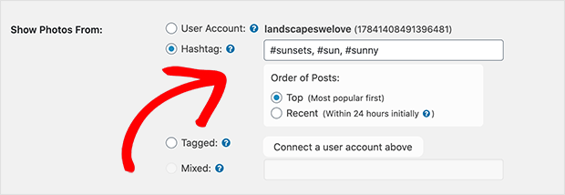 How to Embed Your Instagram Feed on WordPress