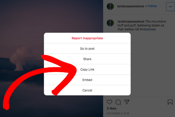 How To Add An Instagram Feed To Wordpress Without A Plugin 2021