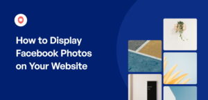 How to Display Facebook Photos on Your Website (Step-by-Step)