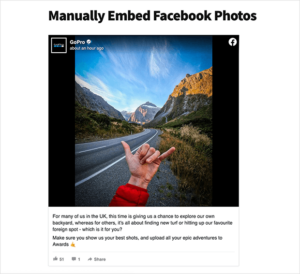 How to Display Facebook Photos on Your Website (Step-by-Step)