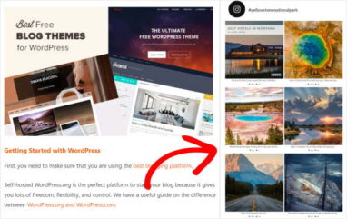 How to Embed Instagram Hashtag Feed to WordPress Website (2025)