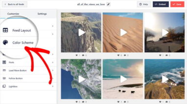 How to Embed Instagram Reels on Your Website [Easy Guide]