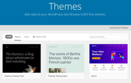 How to Create a Custom WordPress Theme (Step by Step)