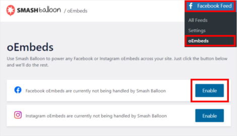 How to Fix Facebook Video Embeds Not Working [5 Solutions]
