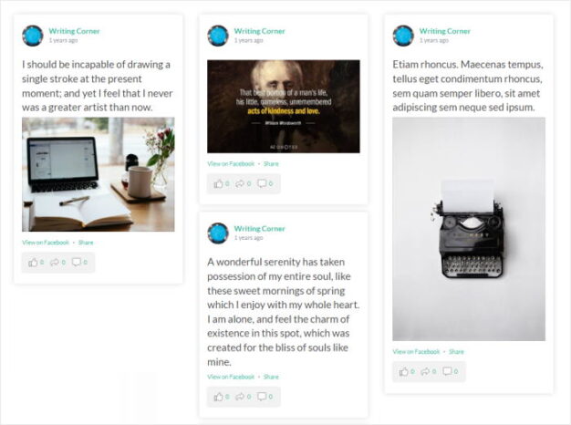 How to Embed Social Media Feed Widgets For Website [2025]