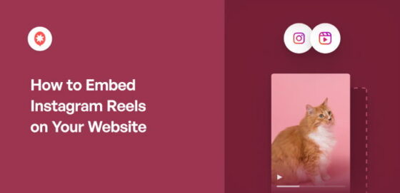 How to Embed Instagram Reels on Your Website [Easy Guide]