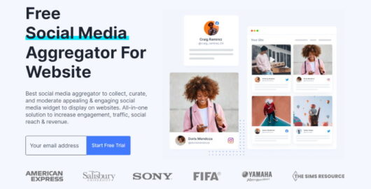 9+ Plugins to Embed Social Feeds on Your Website (Handpicked)