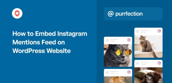 How to Embed Instagram Mentions Feed on WordPress Website