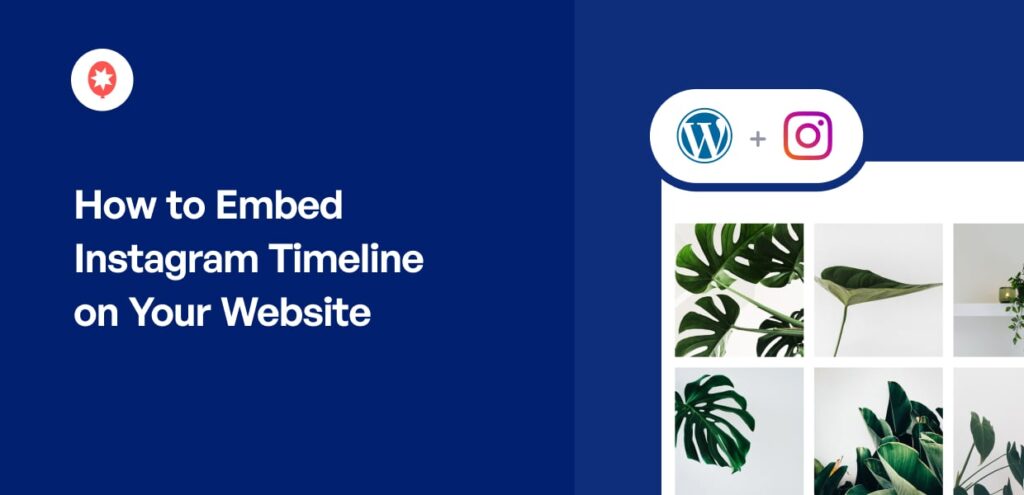 How to Embed Instagram Timeline on Your Website [2025]