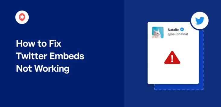 How To Fix Twitter Embeds Not Working On Your Website 2025