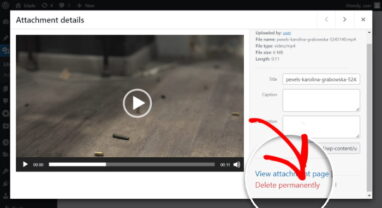 How to Fix WordPress Video Not Playing [5 Solutions]