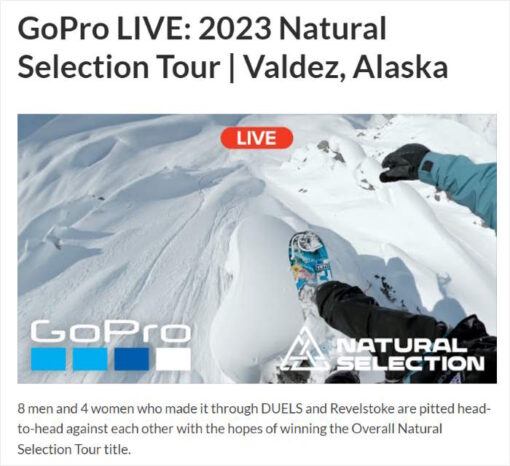 15+ Clever Types of Social Media Posts to Engage Your Followers