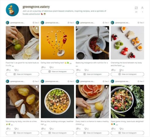Instagram Feed on Your Website: 5 Examples You Can Copy