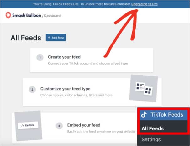 How to Get Smash Balloon TikTok Feeds Plugin (FREE Download)