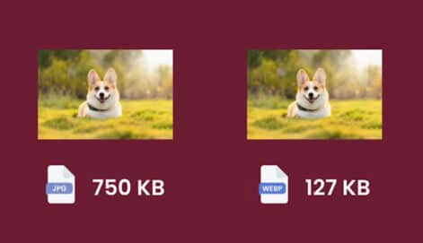 [UPDATE] Get Faster Instagram Feeds with WebP Images