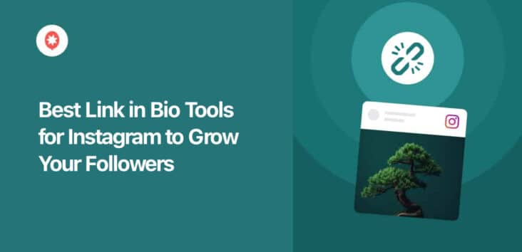 5 Best Link in Bio Tools for Instagram to Grow Your Followers