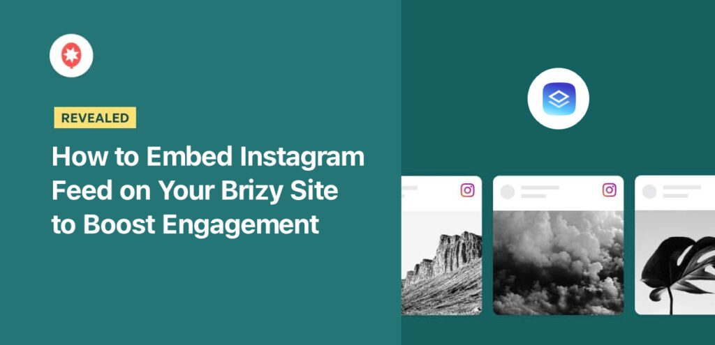 How to Embed Instagram Feed on Your Brizy Website to Boost Engagement